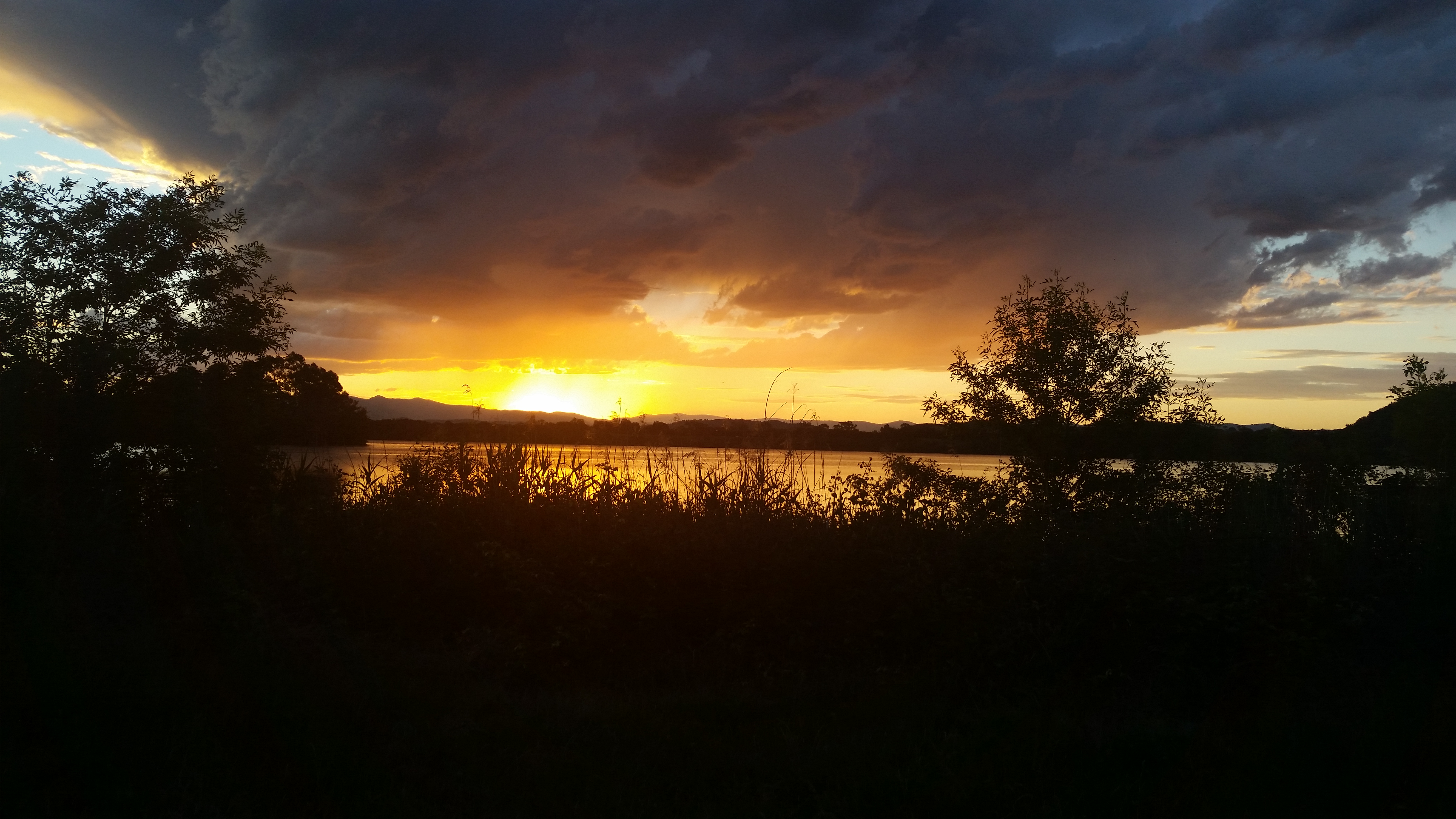 Blog update – hiding posts – Jacqueline collier