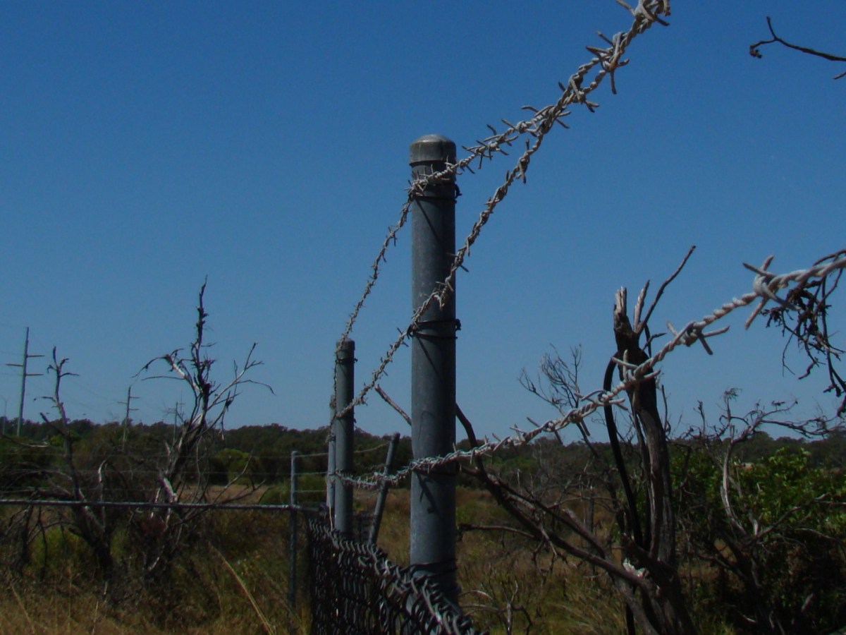 Jacqueline collier – My creations