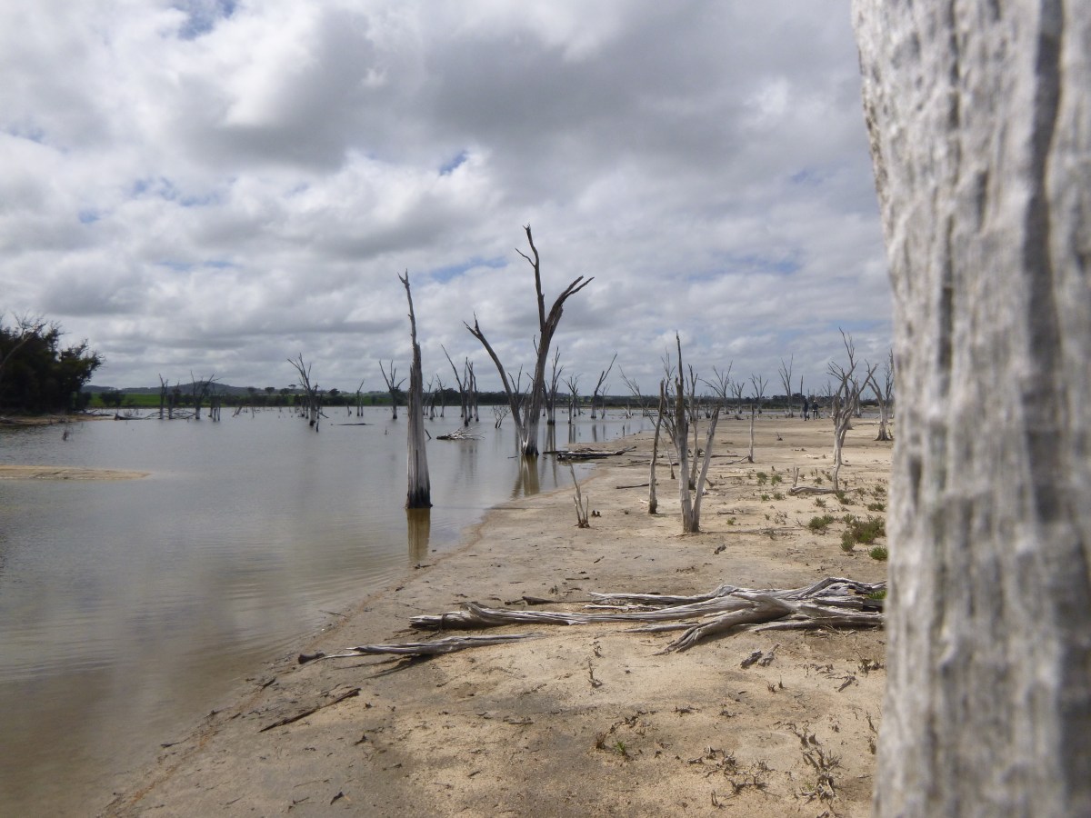 Partial Death – Jacqueline collier