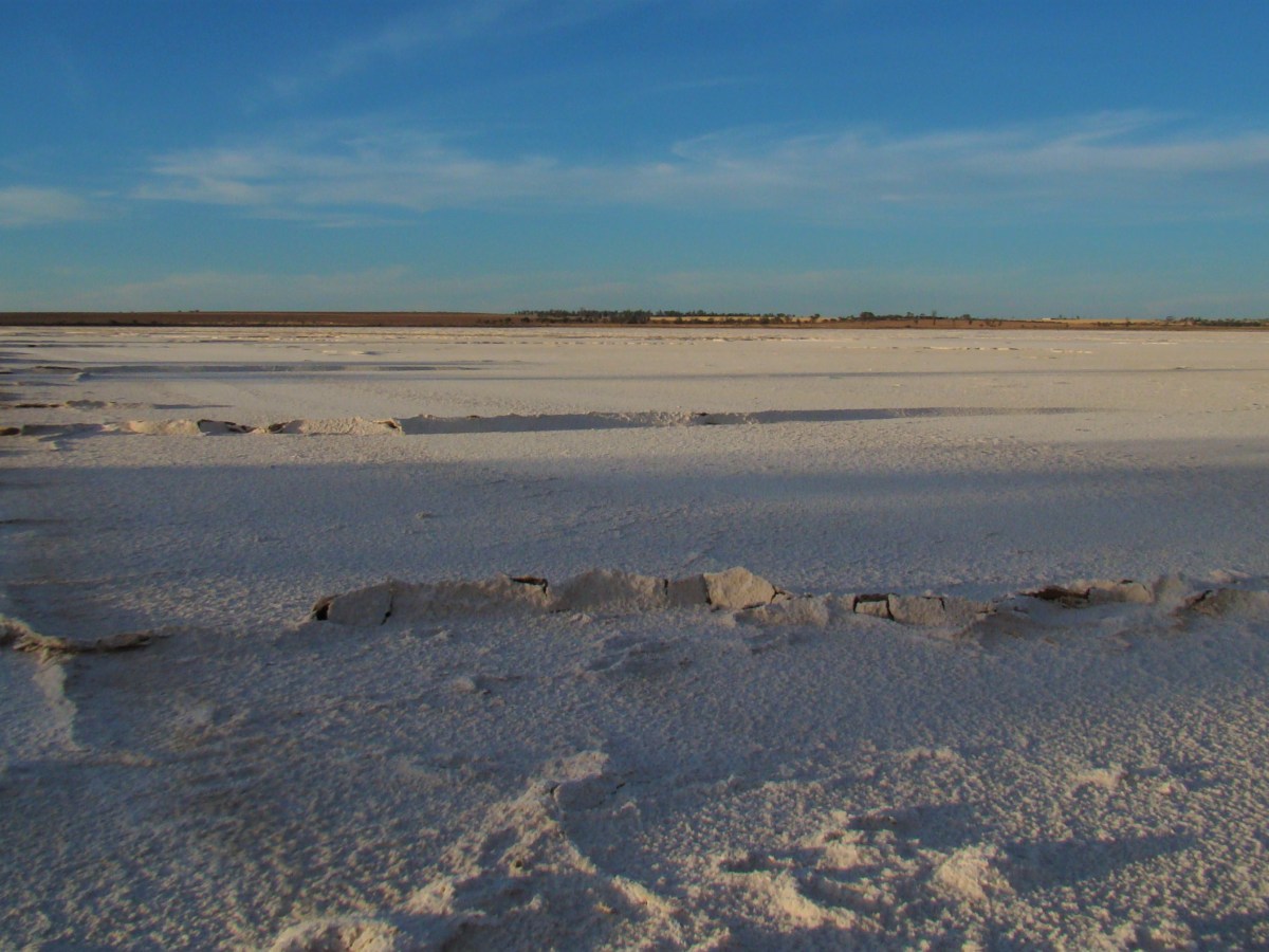 Poems – Jacqueline collier