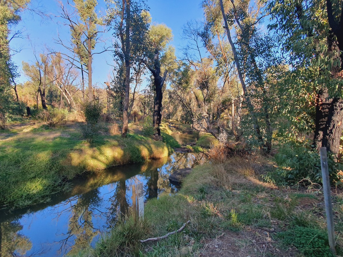 Candle Wax – Jacqueline collier