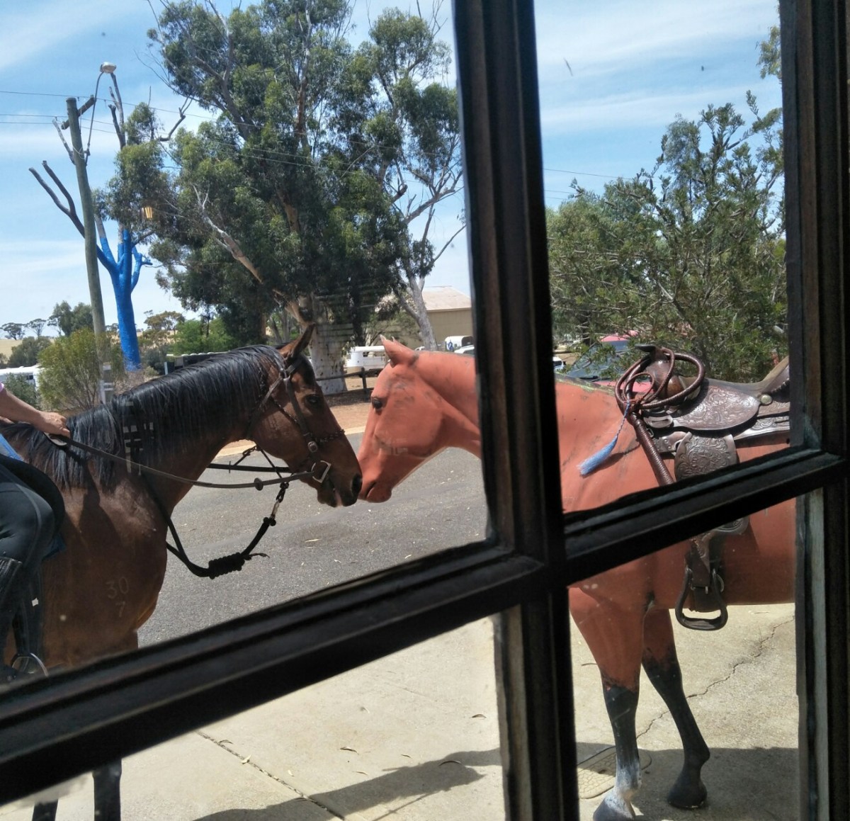 Comparisons – Jacqueline collier