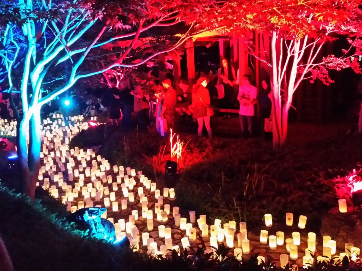 Jacqueline collier – My creations