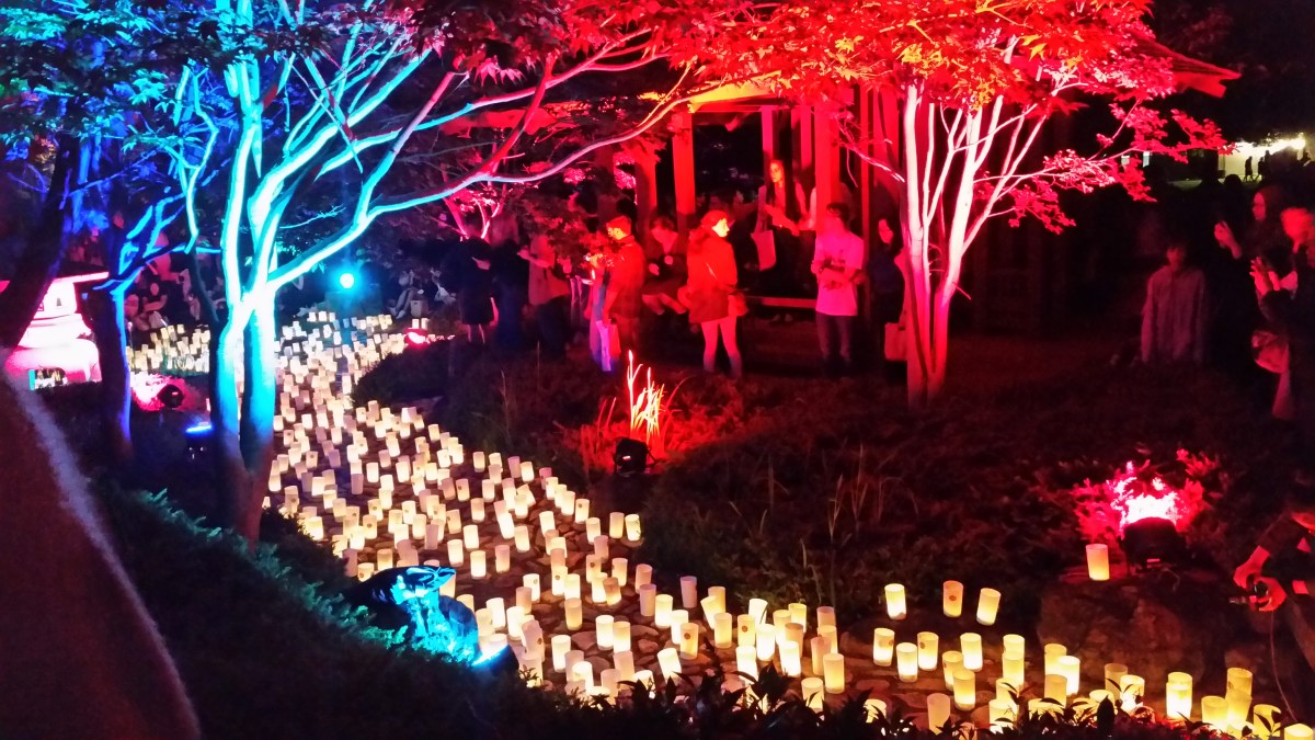 Execution by Fire – Jacqueline collier