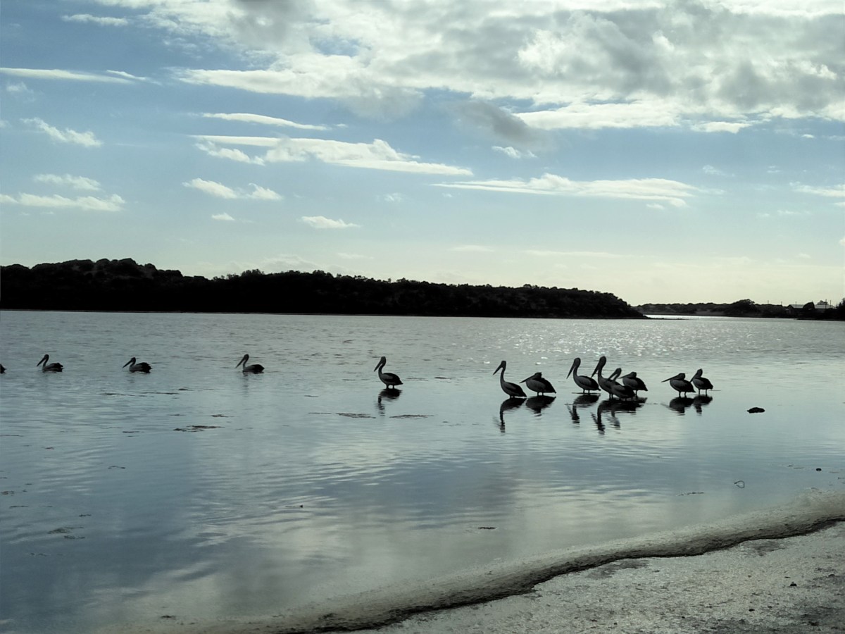 Jacqueline collier – My creations