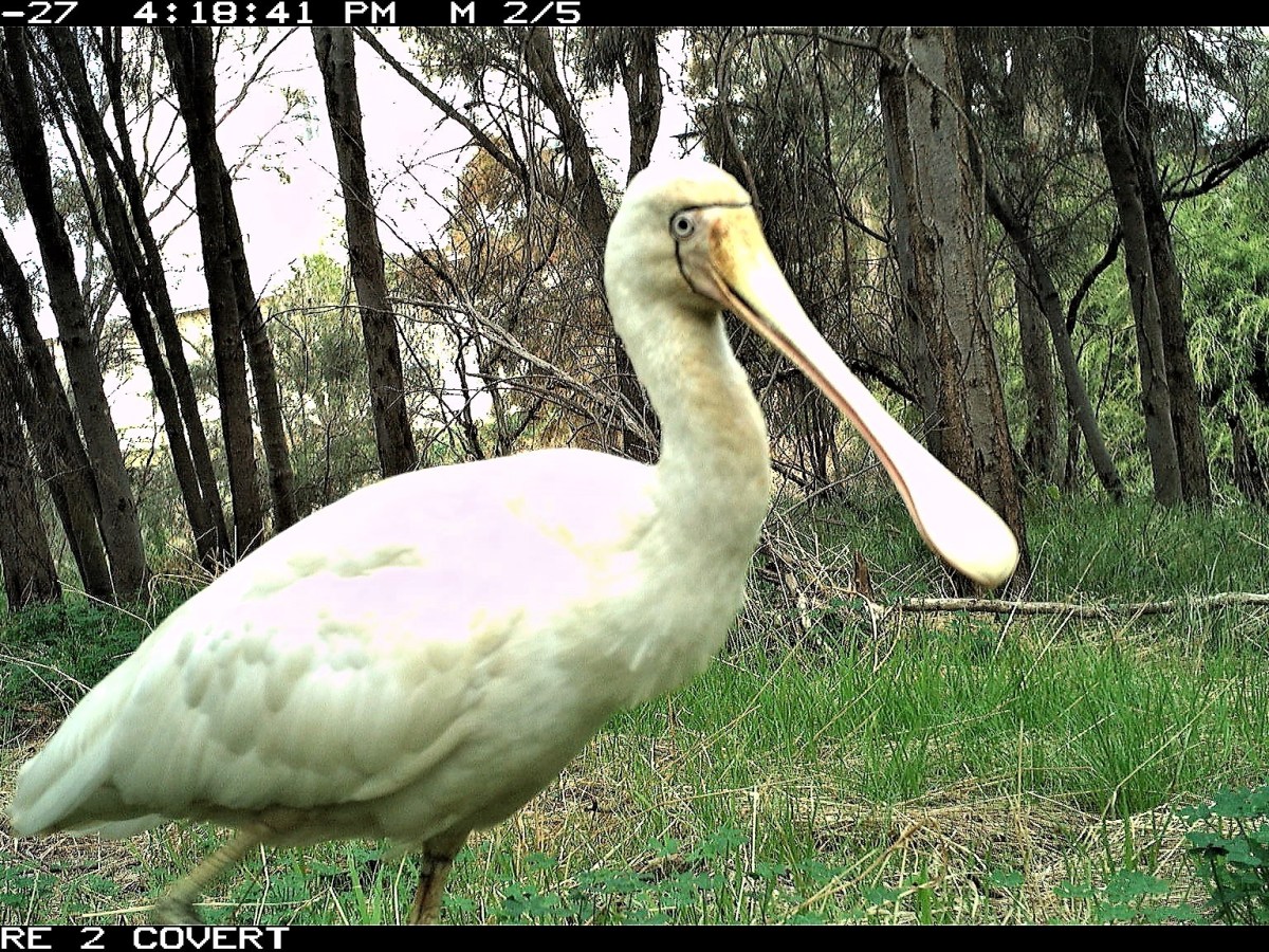 Jacqueline collier – My creations