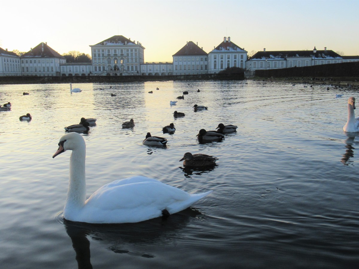 Jacqueline collier – My creations