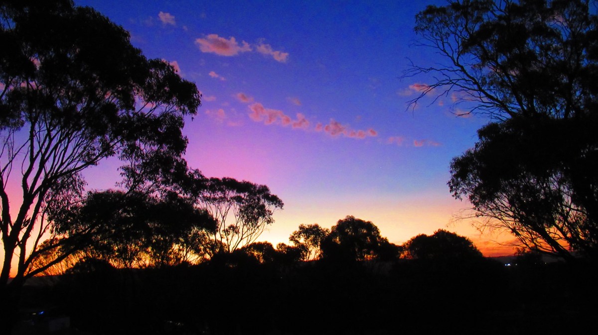 That First Lady Touch – Original Song – Jacqueline collier