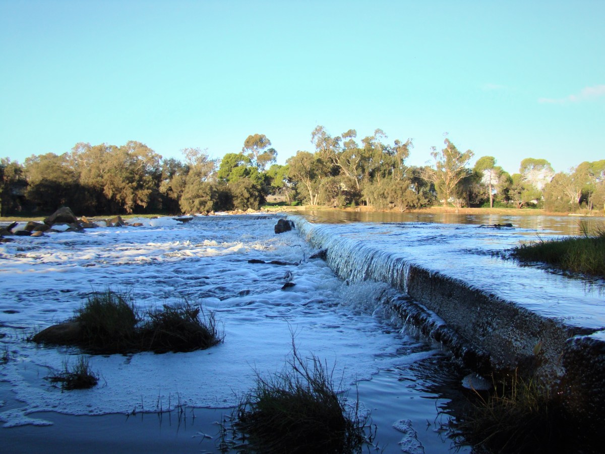 Jacqueline collier – My creations