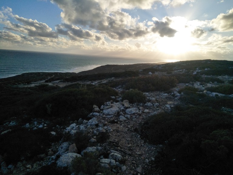 Lighthouse – Jacqueline collier